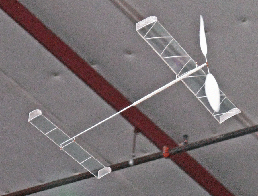 Indoor models | New Bong Eagles website